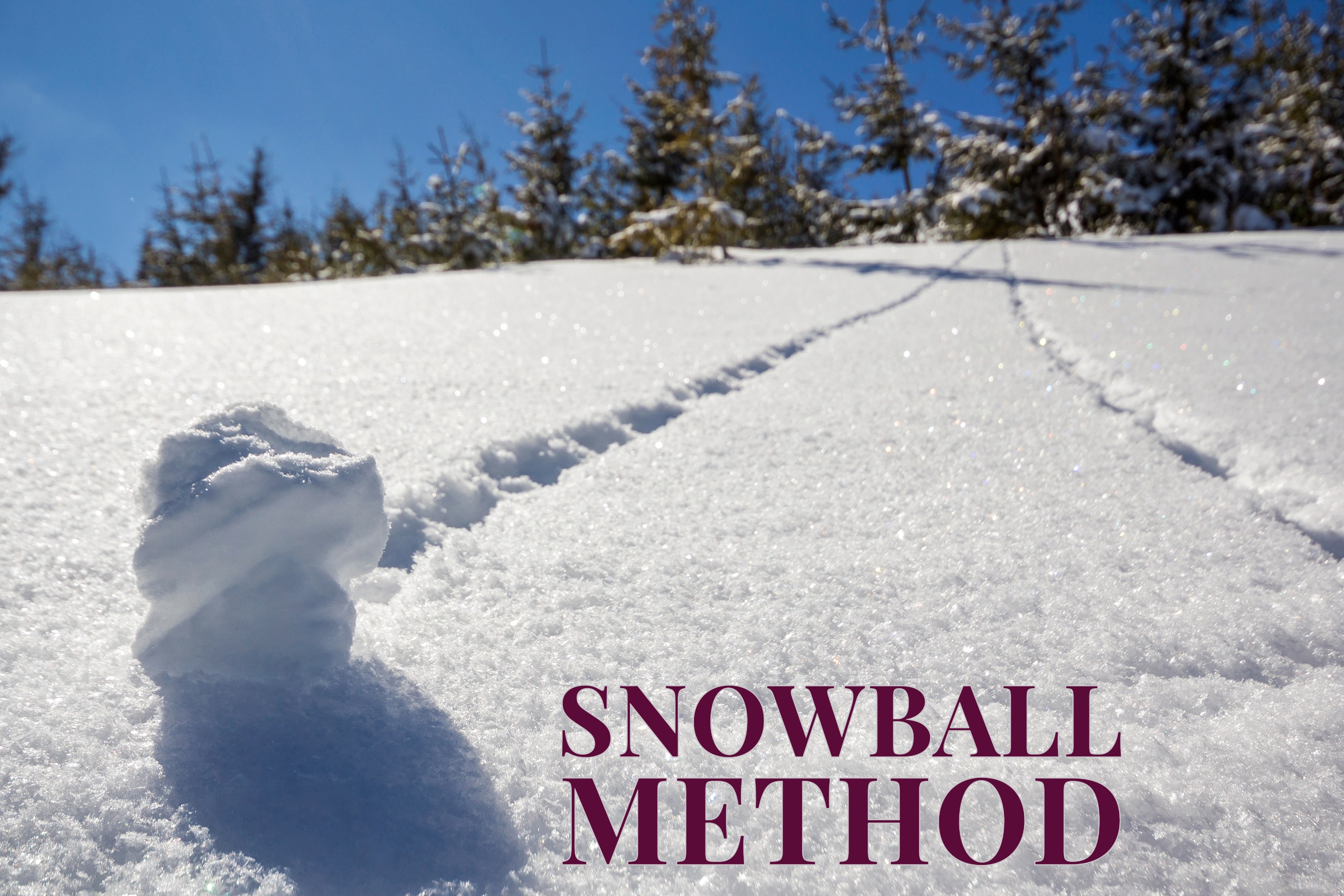 SNOWBALL DEBT MANAGEMENT PLAN – The Personal Finance Teacher